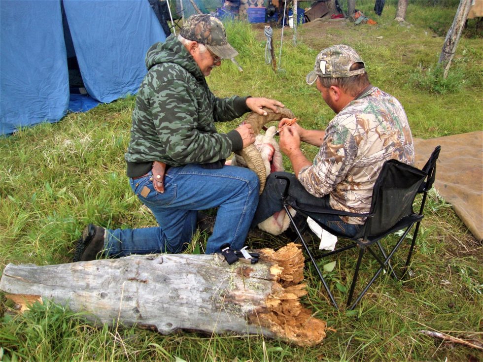 Main Photo Gallery | Dickson Outfitters