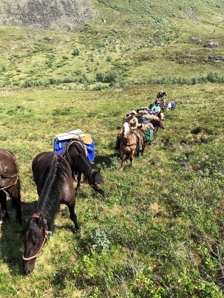 Main Photo Gallery | Dickson Outfitters